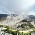 From Tokyo: Hakone Day Trip with Lake Ashinoko Boat Cruise - Who Will Love This Tour?