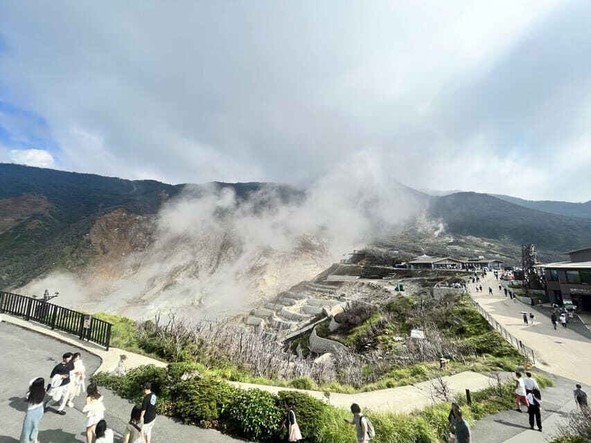 From Tokyo: Hakone Day Trip with Lake Ashinoko Boat Cruise - Who Will Love This Tour?