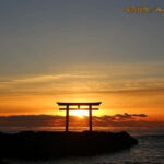 From Tokyo: Hitachi seaside Park & Oarai Isosaki Shrine Tour - Practical Details: What to Expect