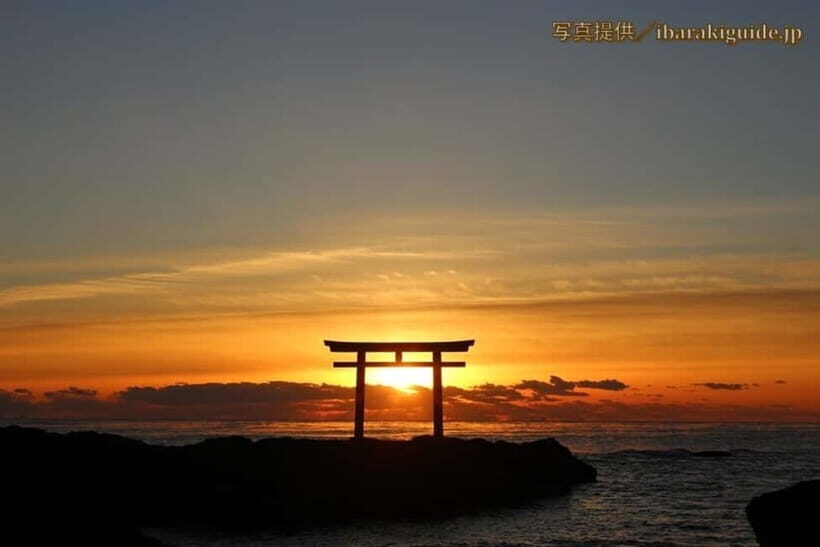 From Tokyo: Hitachi seaside Park & Oarai Isosaki Shrine Tour - Practical Details: What to Expect