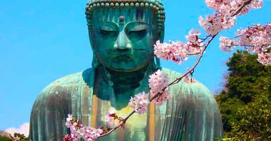 From Tokyo: Kamakura and Enoshima Full-Day Private Trip - Who Should Consider This Tour?