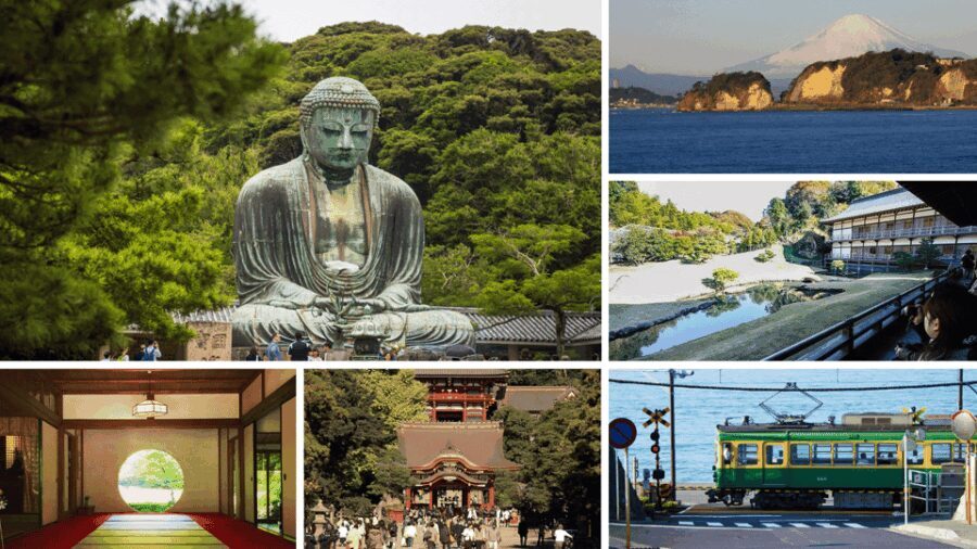 From Tokyo: Kamakura Full Day Tour with a Local Expert Guide - A Closer Look at the Kamakura Full Day Tour