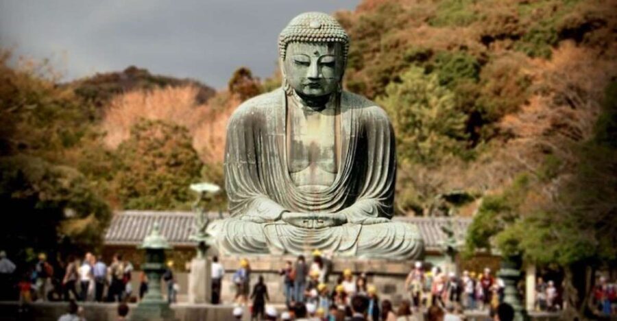 From Tokyo: Kamakura Private Customize Tour by Luxury Van - The Experience: What to Expect from the Kamakura Private Tour
