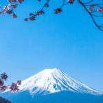 From Tokyo: Mount Fuji Customize Tour With English Driver - What To Expect from This Experience