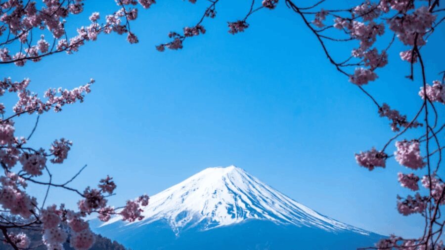 From Tokyo: Mount Fuji Customize Tour With English Driver - What To Expect from This Experience