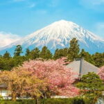 From Tokyo: Mount Fuji Full Day Customizable Private Tour - Authenticity and Reviews from Travelers