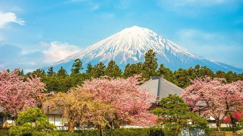 From Tokyo: Mount Fuji Full Day Customizable Private Tour - Authenticity and Reviews from Travelers