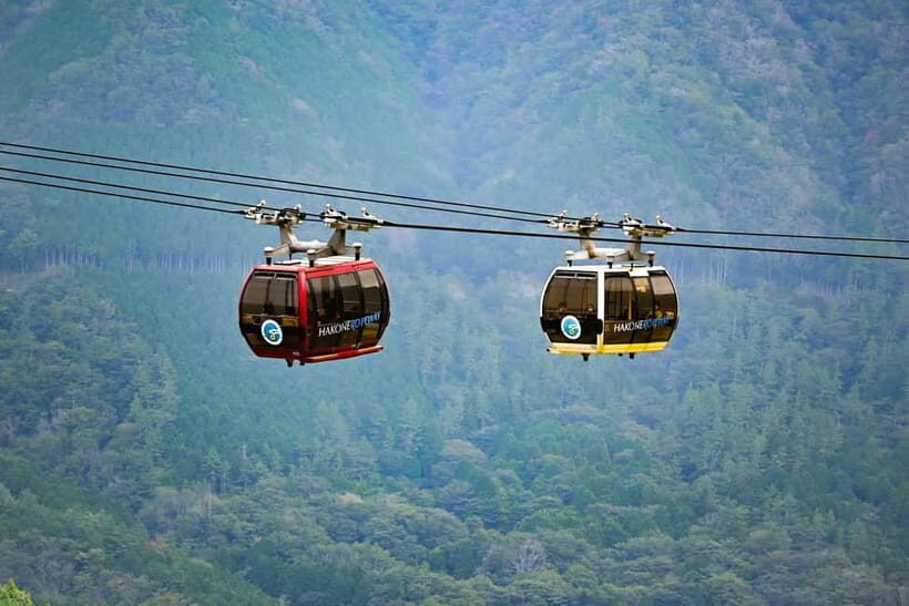 From Tokyo: Mount Fuji Full-Day Private Tour (Customizable) - Why This Tour Offers Strong Value