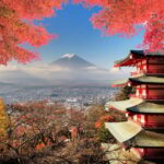 From Tokyo: Mount Fuji Full Day Private Tour English Guide - Who Would Love This Tour?