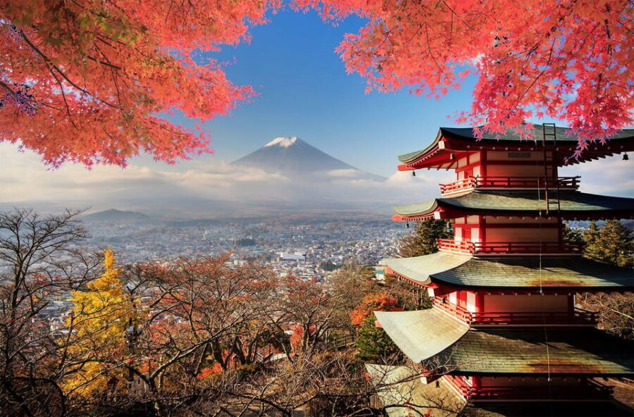 From Tokyo: Mount Fuji Full Day Private Tour English Guide - Who Would Love This Tour?