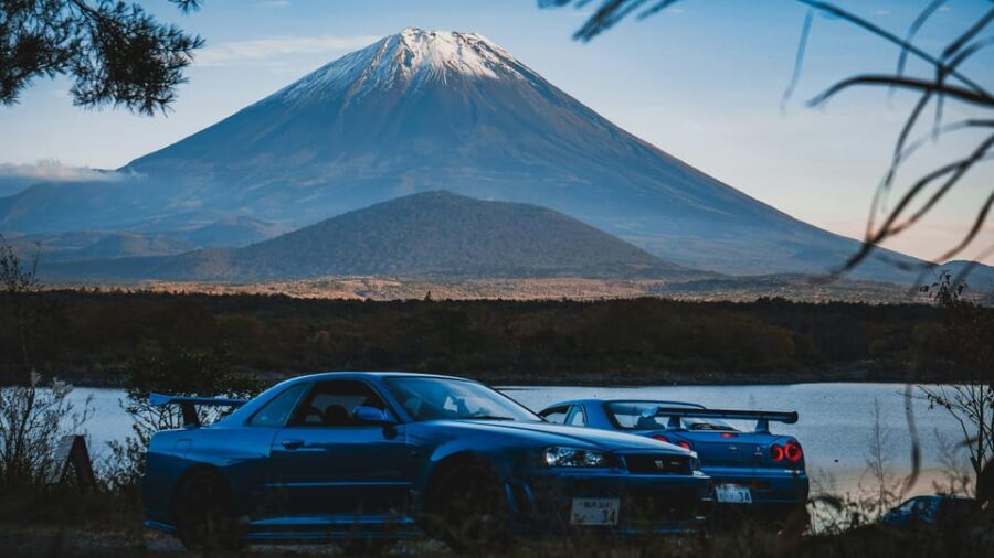 From Tokyo: Mount Fuji Instagram Spots 1-Day Private Tour - What Makes This Tour Stand Out?