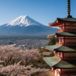 From Tokyo: Mount Fuji One-Day Private Customizable Tour - Top Reasons to Choose This Tour