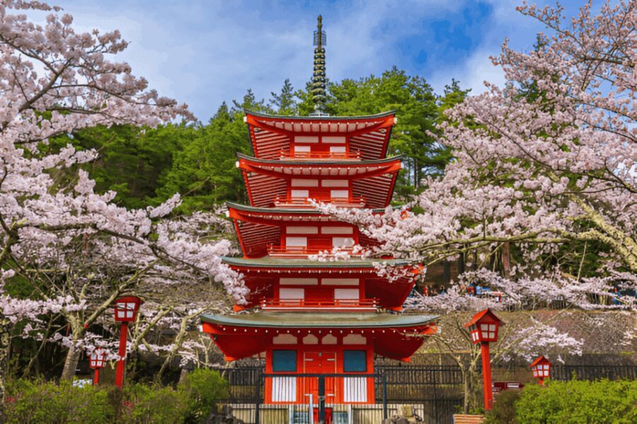 From Tokyo: Mount Fuji or Hakone Customized Day Trip - Itinerary A: A Glimpse of Fuji’s Majesty