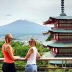 From Tokyo: Mount Fuji Private Day Tour With English Driver - Value and Practicalities