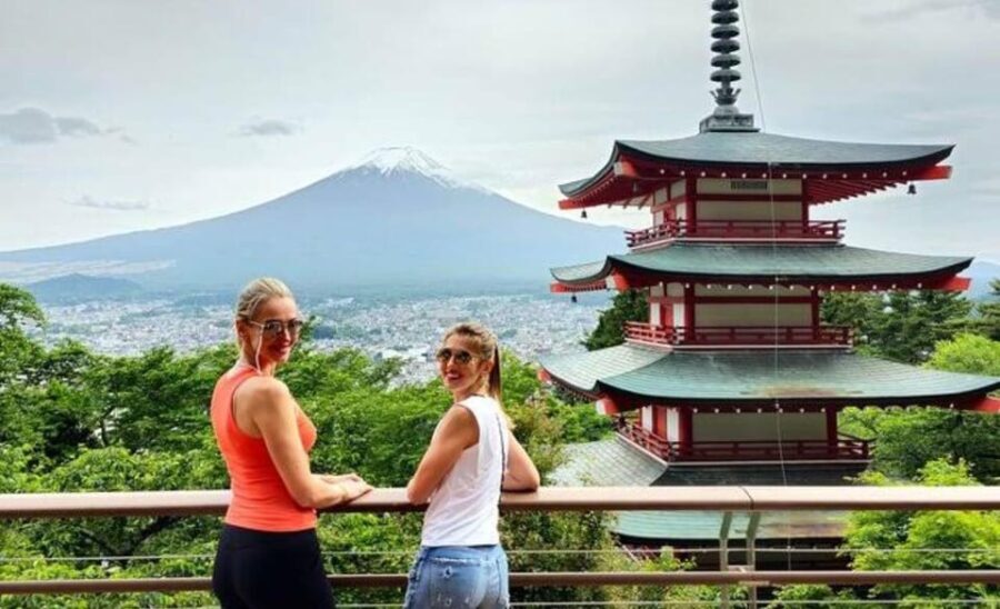 From Tokyo: Mount Fuji Private Day Tour With English Driver - Value and Practicalities
