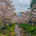 From Tokyo: Mount Fuji Private Tour with a Driver/Guide - Breaking Down the Itinerary