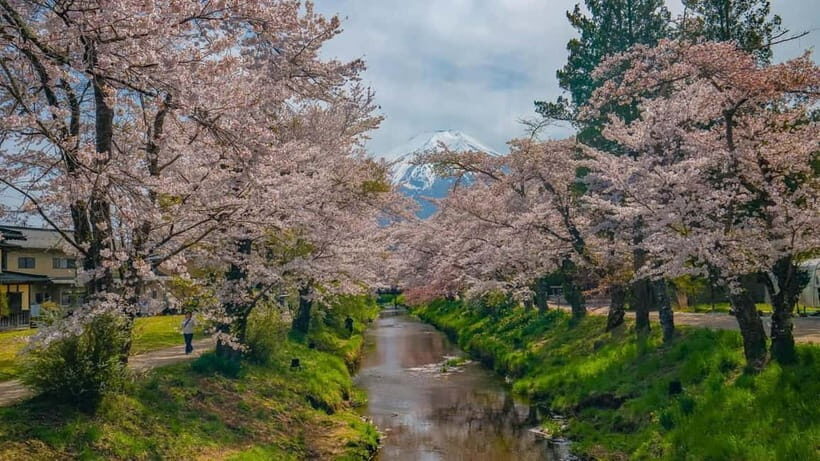 From Tokyo: Mount Fuji Private Tour with a Driver/Guide - Breaking Down the Itinerary