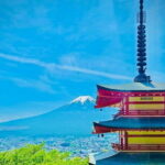 From Tokyo: Mt. Fuji Private Tour With English Speaking Driver - The Practical Aspects of the Tour
