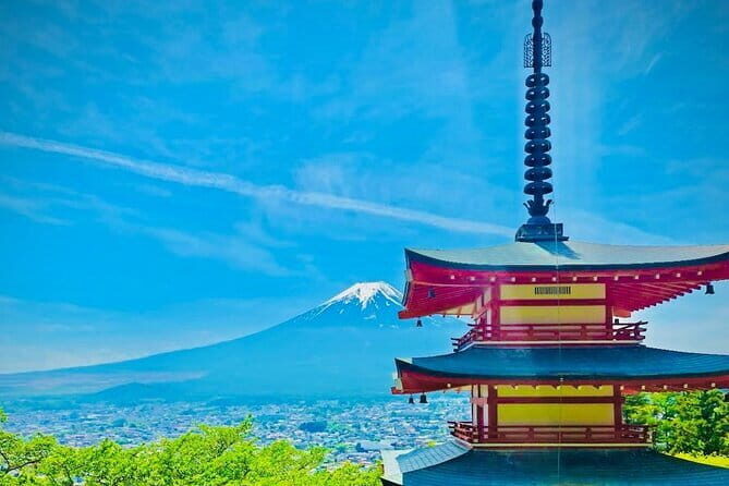 From Tokyo: Mt. Fuji Private Tour With English Speaking Driver - The Practical Aspects of the Tour