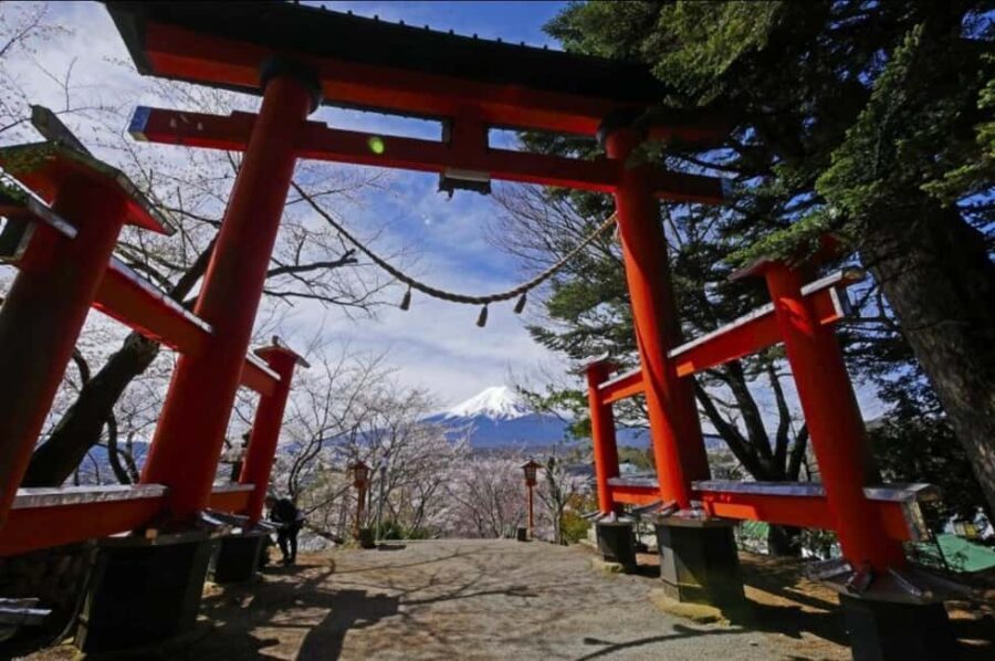 From Tokyo: Mt. Fuji Spanish & English Tour - What Travelers Gain: Quality, Value, and Authentic Experiences