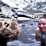 From Tokyo: Nagano Full Day Private Snow Monkey Park Tour - The Practical Aspects: What’s Included and What’s Not