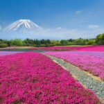 From Tokyo: Nikko Full Day Private Tour by Private Vehicle - Practical Aspects and Value