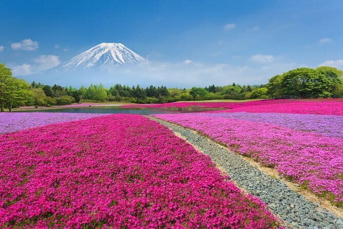 From Tokyo: Nikko Full Day Private Tour by Private Vehicle - Practical Aspects and Value