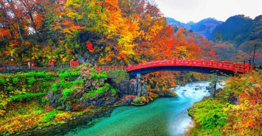 From Tokyo: Nikko luxury Tour with English-speaking Guide - An In-Depth Look at the Nikko Luxury Tour