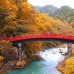 From Tokyo: Private Day Trip to Nikko and Lake Chuzenji - Practical Considerations