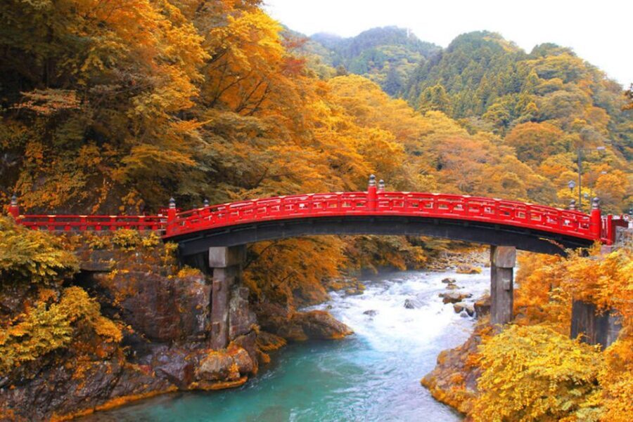 From Tokyo: Private Day Trip to Nikko and Lake Chuzenji - Practical Considerations