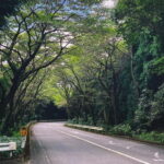 From Tokyo: Private Tour to Fuji/Hakone - Onsen, Art, Nature - Pricing & Value