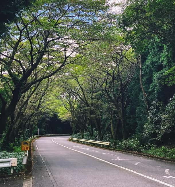 From Tokyo: Private Tour to Fuji/Hakone - Onsen, Art, Nature - Pricing & Value