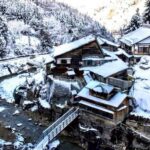 From Tokyo: Snow Monkey & Zenkoji Temple Private Tour - What’s the Real Value?