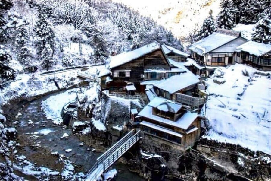 From Tokyo: Snow Monkey & Zenkoji Temple Private Tour - What’s the Real Value?