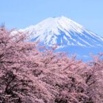 From Tokyo to Mount Fuji: Full-Day Tour and Hakone Cruise - What Travelers Love Most