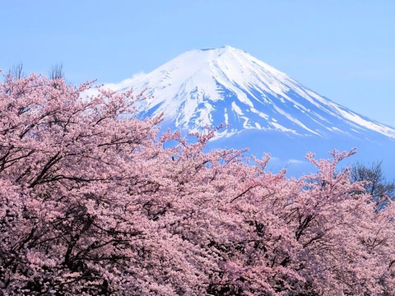 From Tokyo to Mount Fuji: Full-Day Tour and Hakone Cruise - What Travelers Love Most