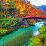From Tokyo To Nikko Private Day Tour With English Guide - Why Choose This Tour? An In-Depth Look