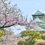 From Tokyo: Tokyo, Kyoto, Osaka, & Nikko Private 7-Day Tour - A Journey Through Japan’s Iconic Destinations