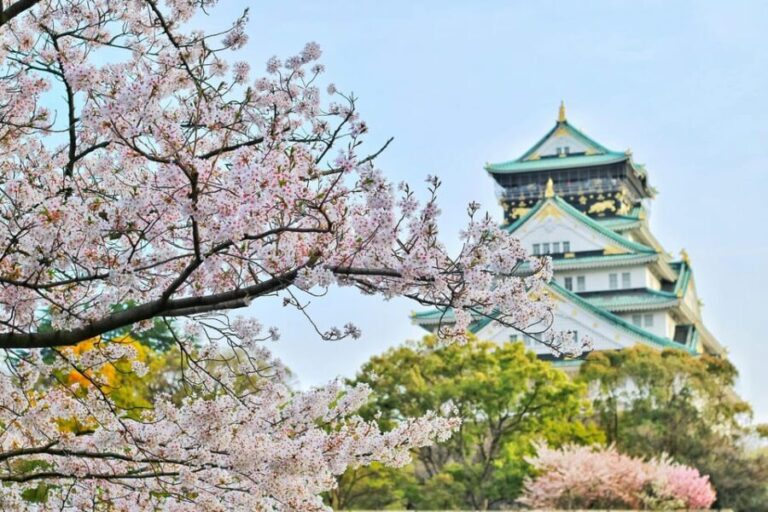 From Tokyo: Tokyo, Kyoto, Osaka, & Nikko Private 7-Day Tour - A Journey Through Japan’s Iconic Destinations