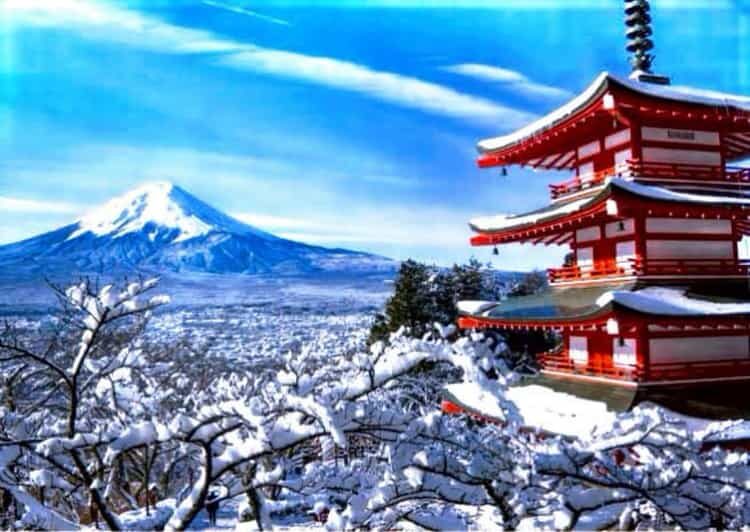 From Tokyo:Mount Fuji Private Customizable Tour With English - Pricing and Value: Is It Worth It?