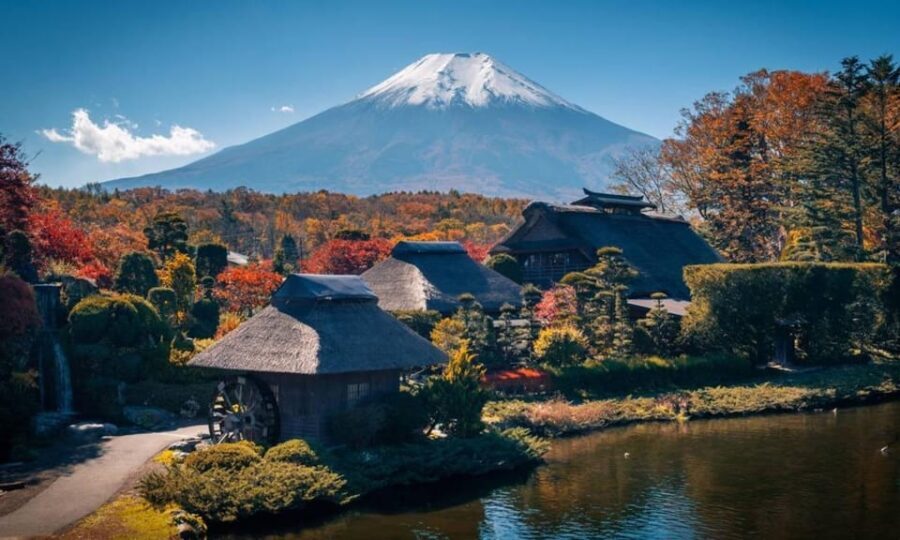 From Tokyo:Mt.Fuji &Hakone Trip with English Speaking guide - What to Expect on the Itinerary