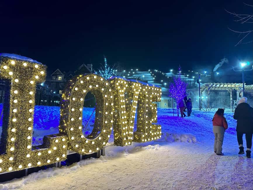 From Toronto: Blue Mountain Day Trip Skiing Snowboarding - Who Will Love This Trip?