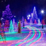From Toronto: Winter Festival of Lights Niagara Falls Tour - The Practicalities: Transport, Timing, and Cost
