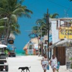From Tulum: Holbox Island Full-Day Trip with Lunch - Why This Tour Works Well