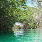 From Tulum: Sian KaAn Muyil Lagoon Tour - Deep Dive into the Itinerary and Experience
