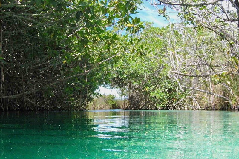 From Tulum: Sian KaAn Muyil Lagoon Tour - Deep Dive into the Itinerary and Experience