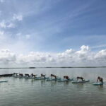 From Tulum: SUP Yoga Class in Sian Ka'an - What’s the Itinerary Like?