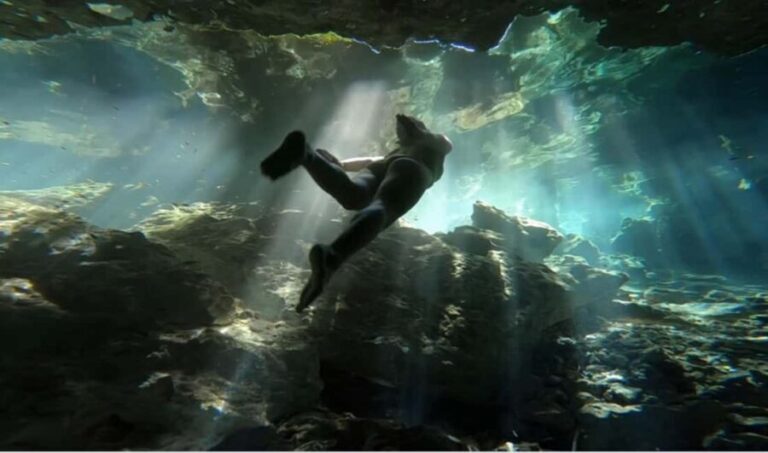 From Tulum: Tulum, Cenote and Turtle Swim Tour at Akumal - Why This Tour Offers Good Value