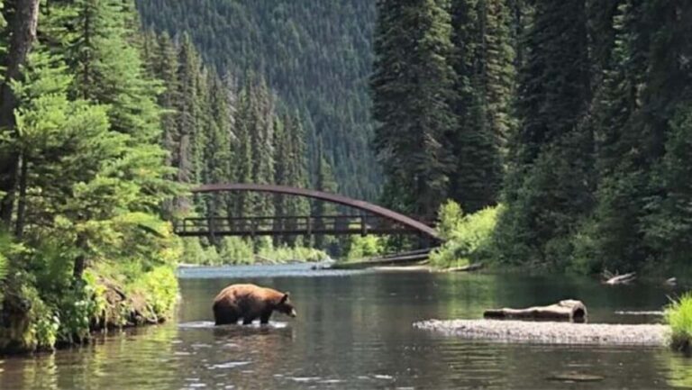 From Vancouver: 3-Day Tour to Manning Park, Nelson & Osoyoos - Day-by-Day Breakdown