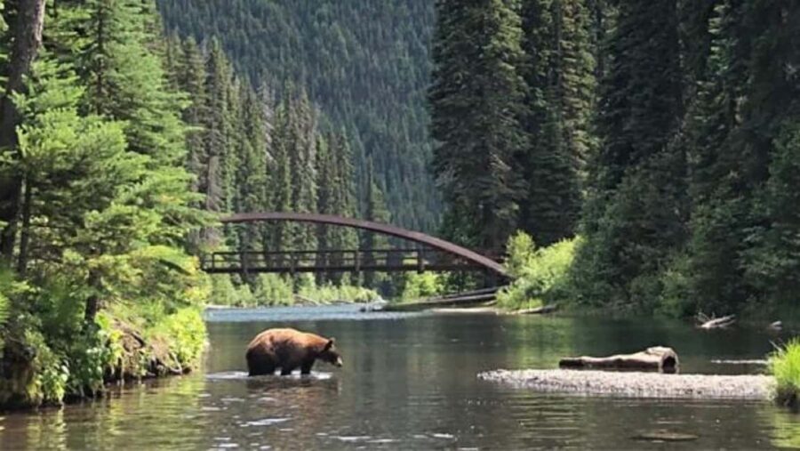 From Vancouver: 3-Day Tour to Manning Park, Nelson & Osoyoos - Day-by-Day Breakdown